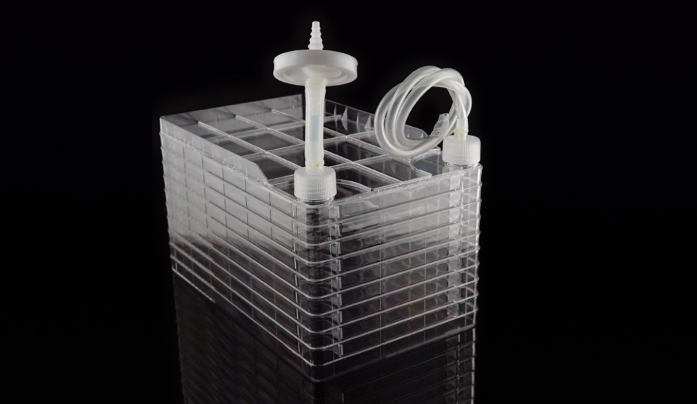 Montreal Biotech BioFactory - Plasticware