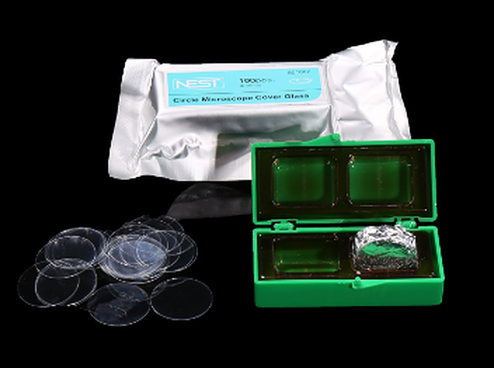 Montreal Biotech Cell Culture Plate - Plasticware