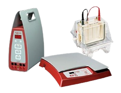 Montreal Biotech Montreal Biotech | Home