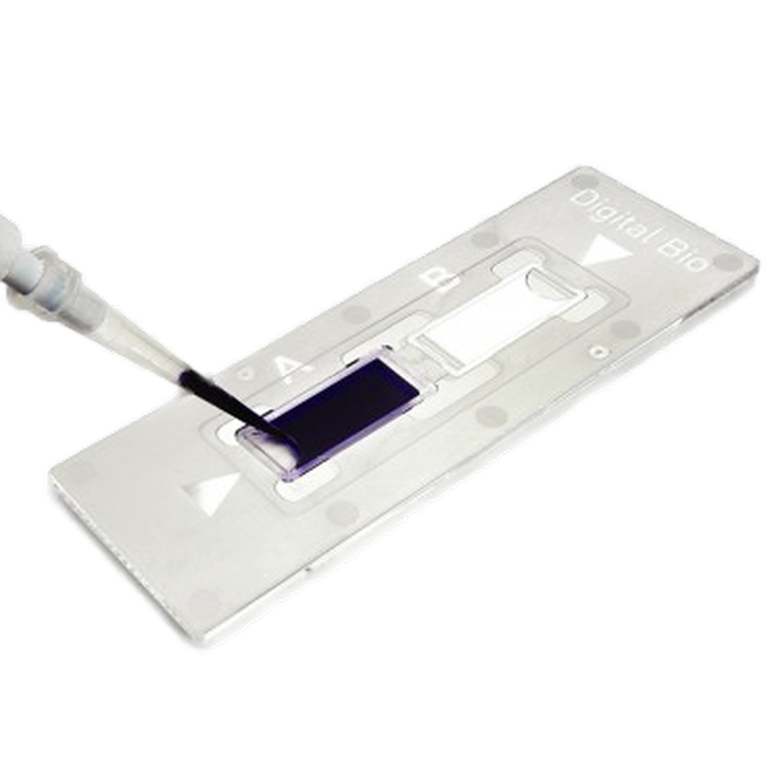 Montreal Biotech Arthur - Cell Counting Slides, 500 slides (1,000 counts)