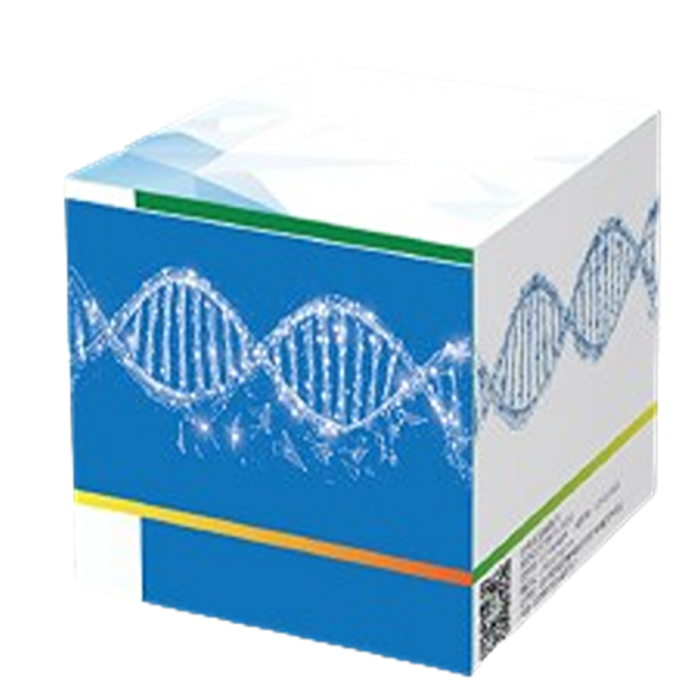 Montreal Biotech MBI high sensitivity dsDNA quantification kit (100 assays)