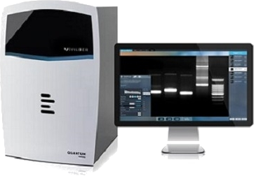 Montreal Biotech Montreal Biotech | Home